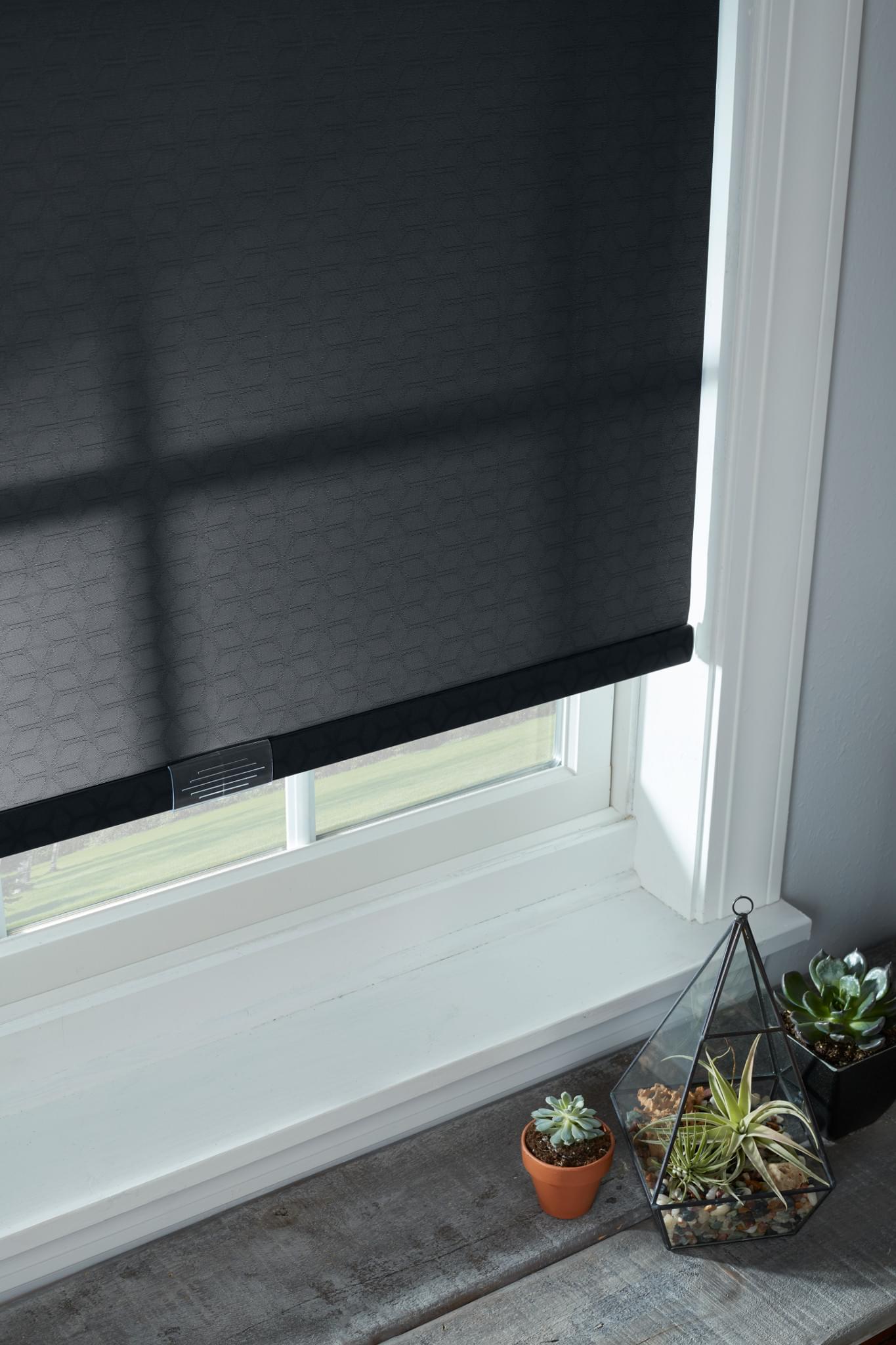 Roller Shades - the popular choice for windows